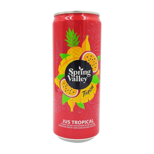 Grossiste Jus tropical 100% canette 33cl CT de 24 canettes - prix en gros